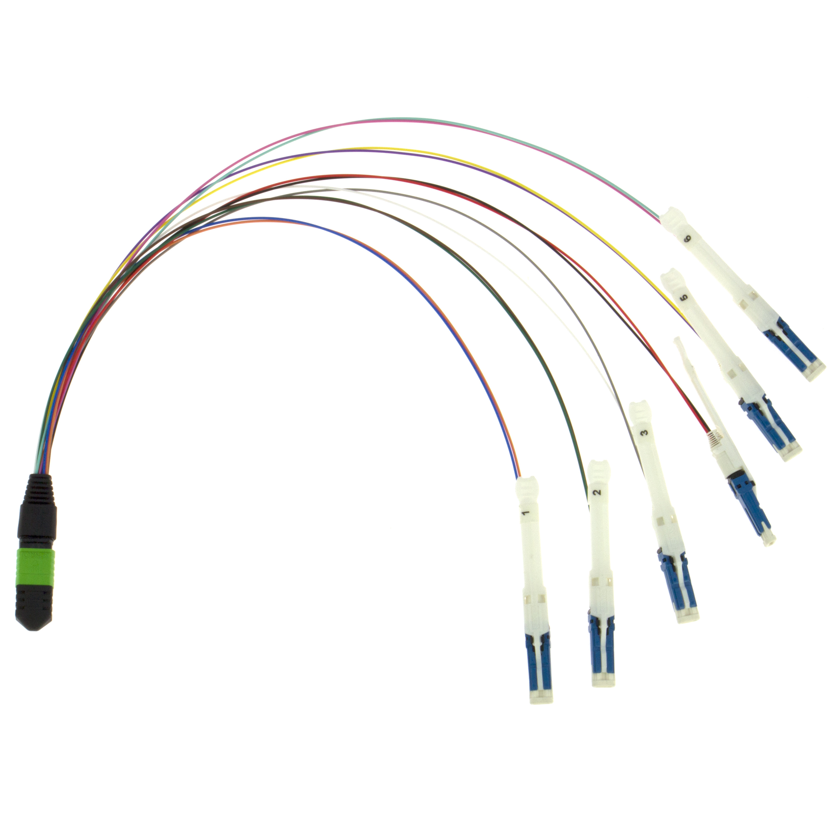 SM 8F 12F 24F LSZH MPO MTP CS Fiber Optic Patch Cord